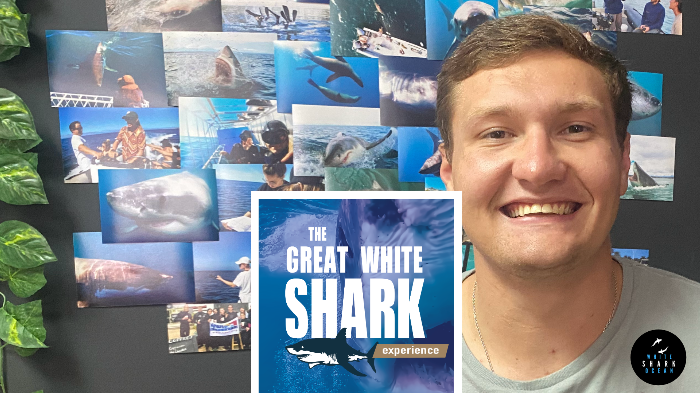 THE GREAT WHITE SHARK EXPERIENCE PODCAST, EPISODE 6 - NICO – White ...