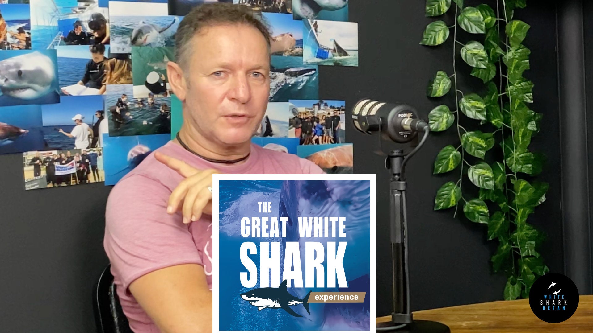 Craig Ferreira, Episode 15 - The Great White Shark Experience Podcast ...