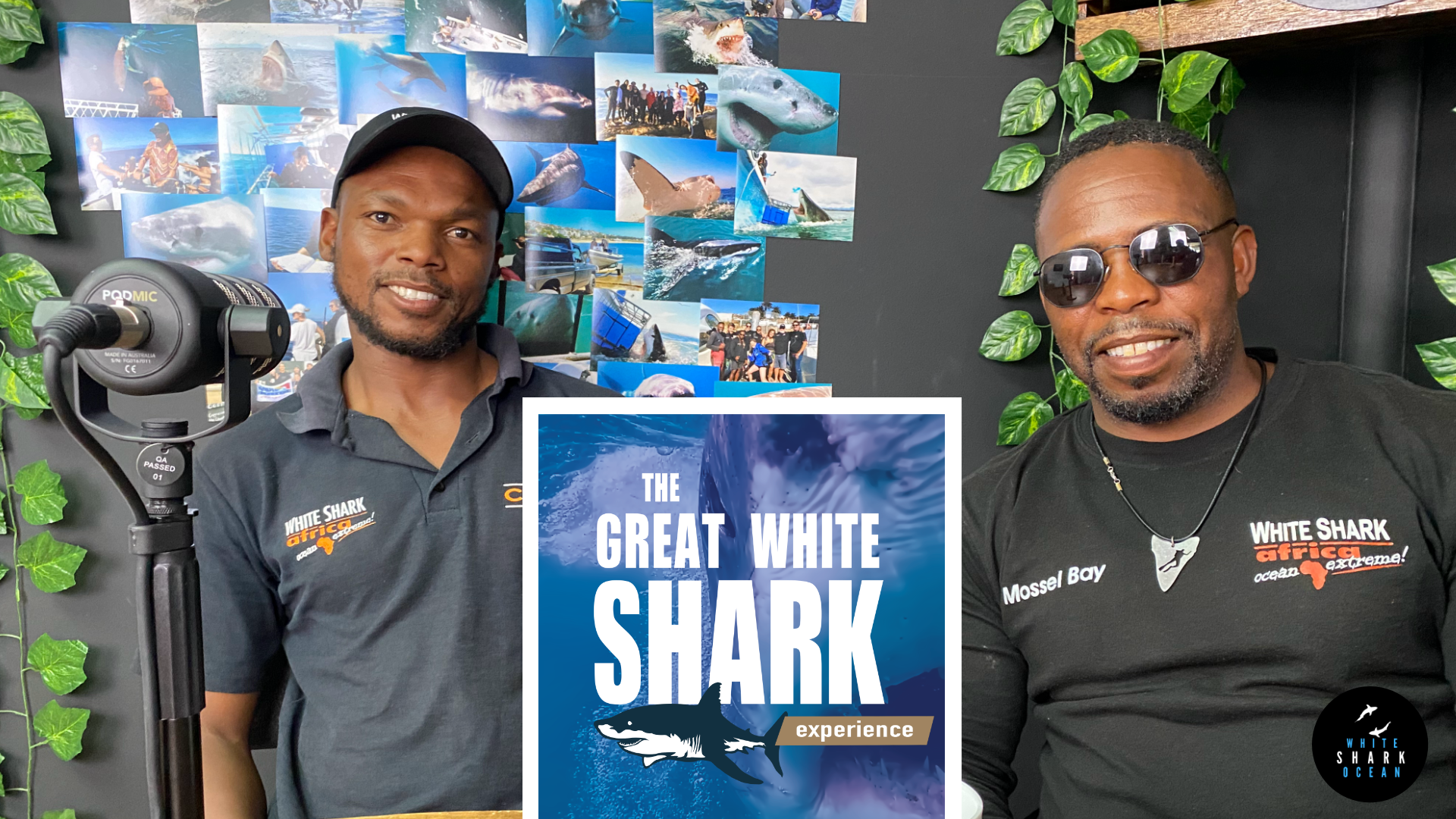 The Great White Shark Experience Podcast, Episode 1 - Eric and Allen ...