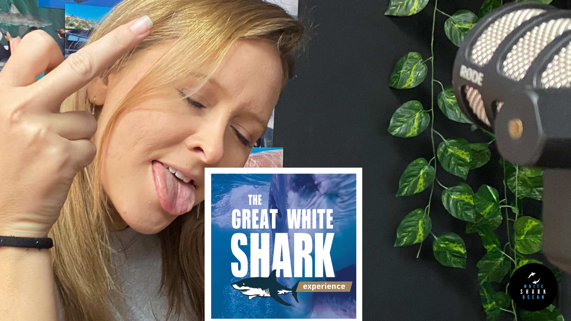 Tiff Taff, Episode 19, The Great White Shark Experience Podcast – White ...