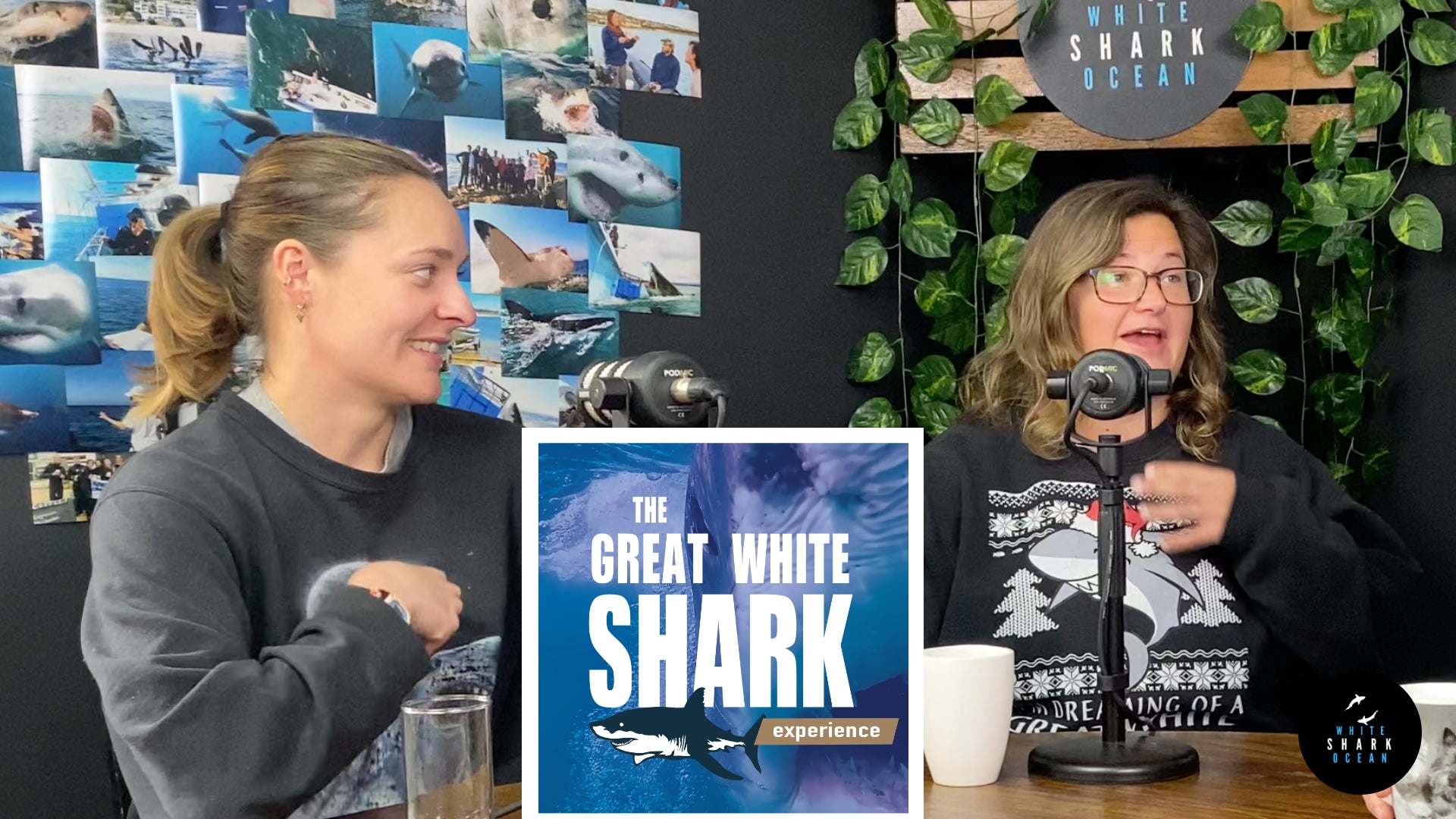 Lacey And Val, Great White Necropsy, The Great White Shark Experience ...