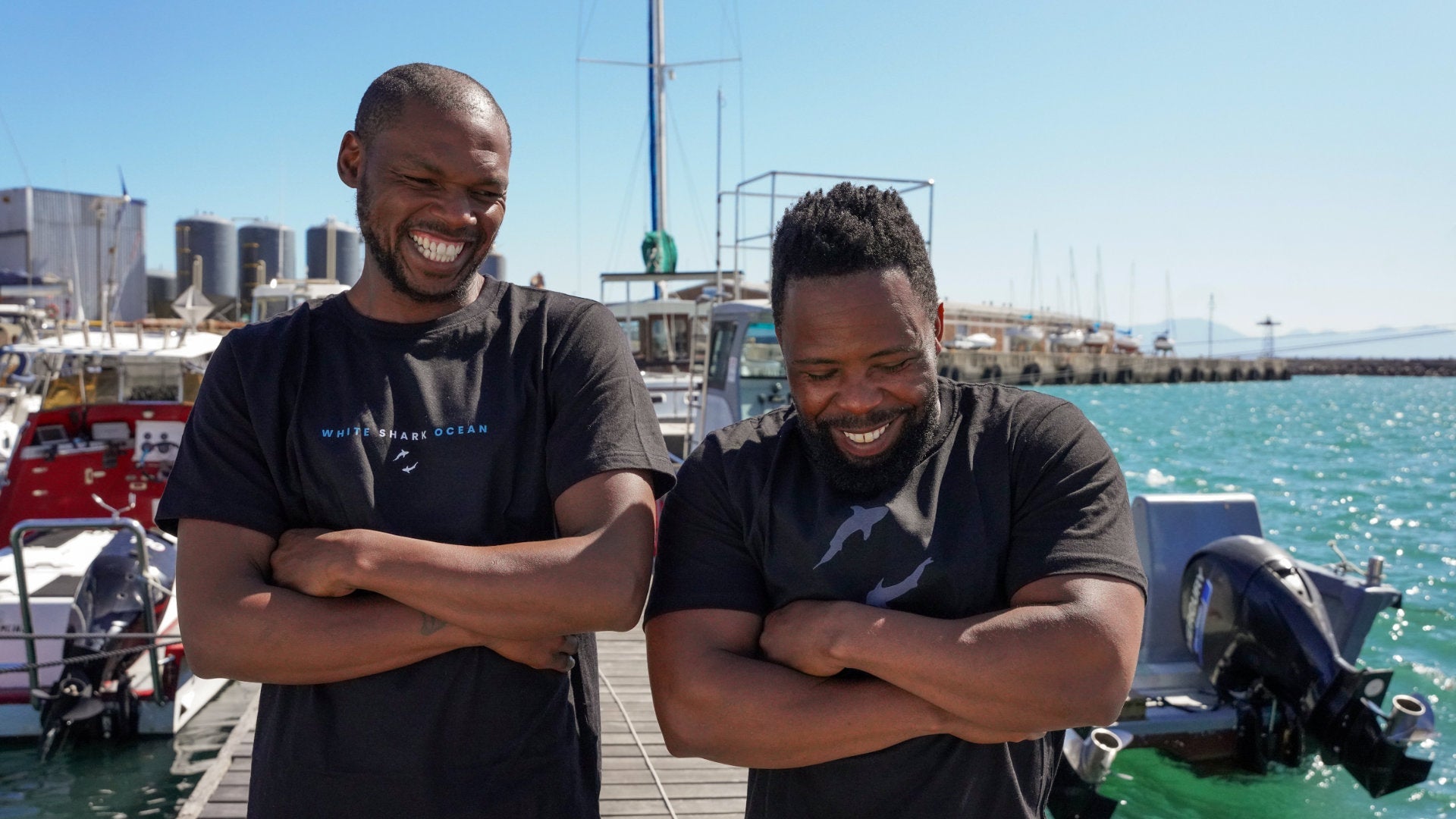 All Products – White Shark Ocean
