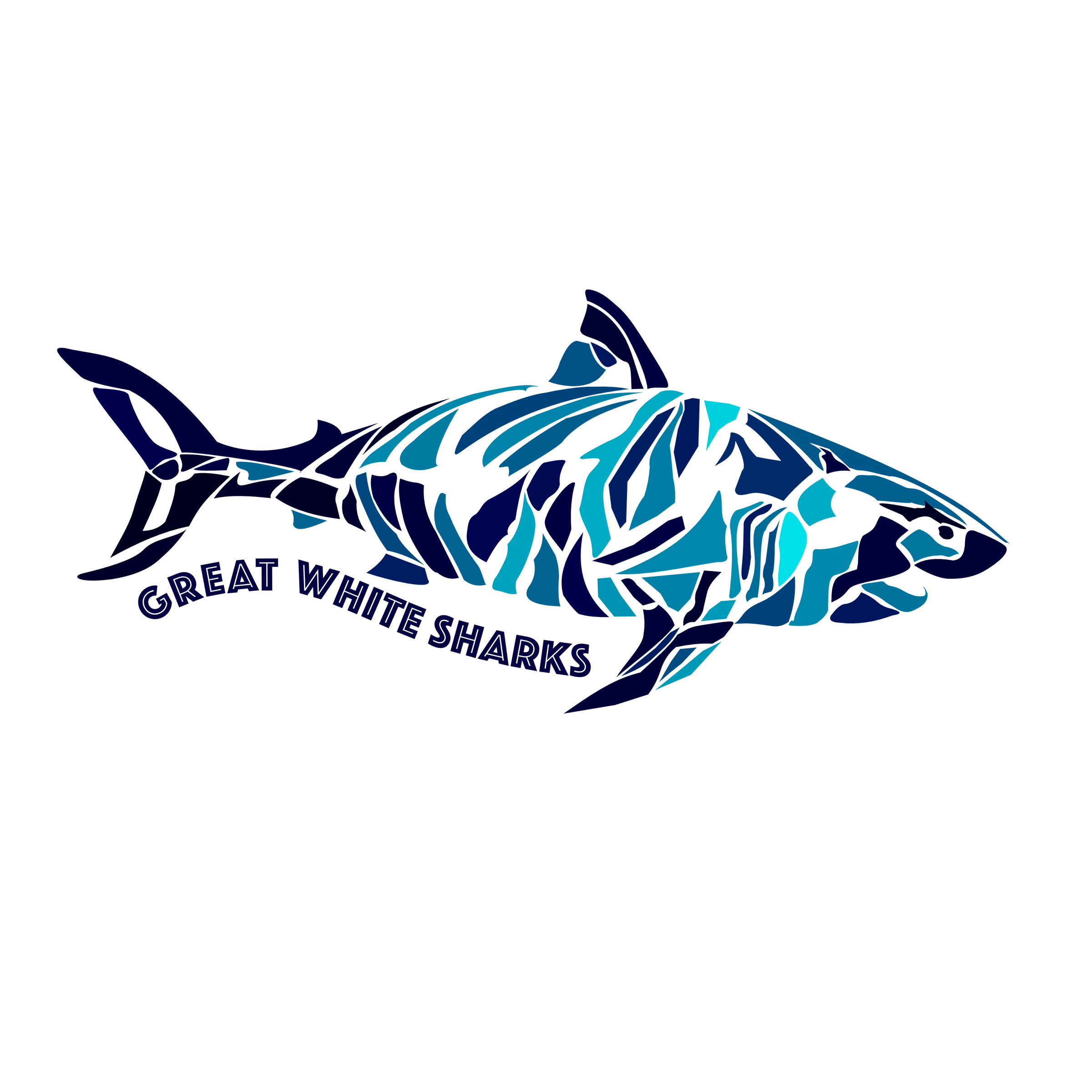 White Shark Ocean